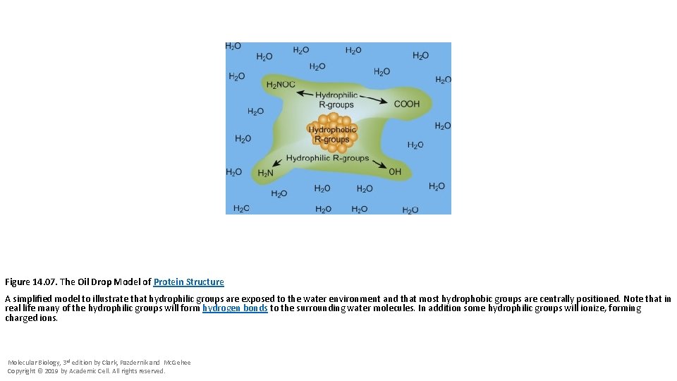 Unit 3 The Central Dogma of Molecular Biology