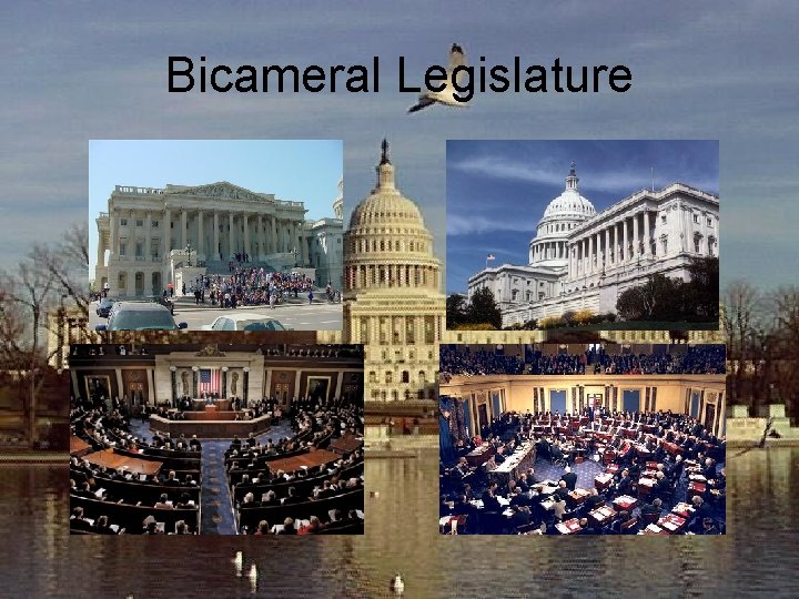 The Organization of Congress Bicameral Legislature Congressional Terms