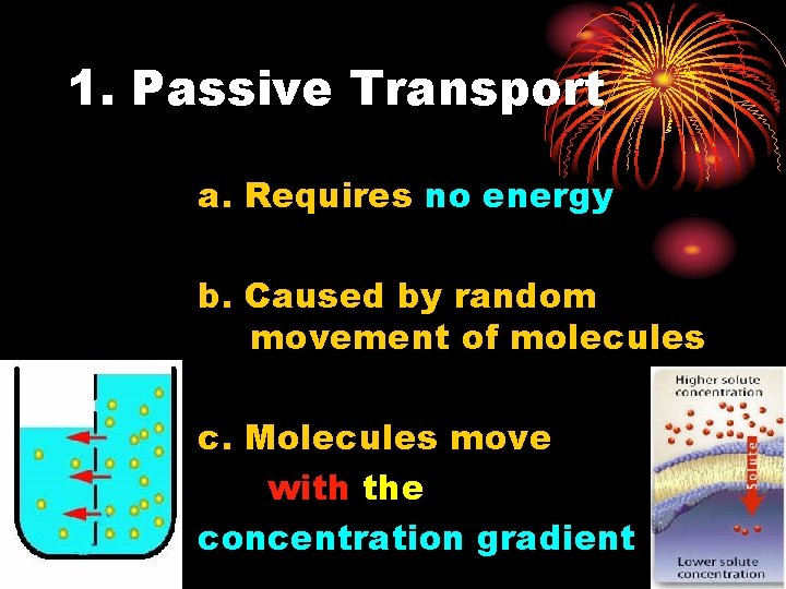 Cellular Transport Cellular Transport I General A Definition