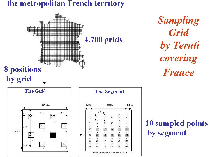 ICAS IV Capacity Building Stakes and pitfalls of
