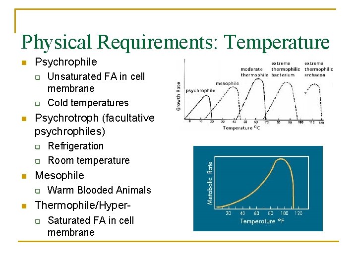 Bacterial Requirements Temperature and Oxygen Measurement of Microbial