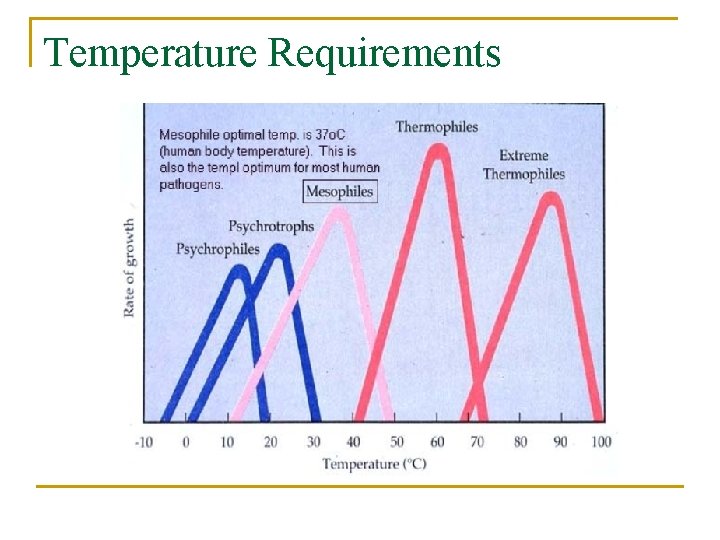 Bacterial Requirements Temperature and Oxygen Measurement of Microbial