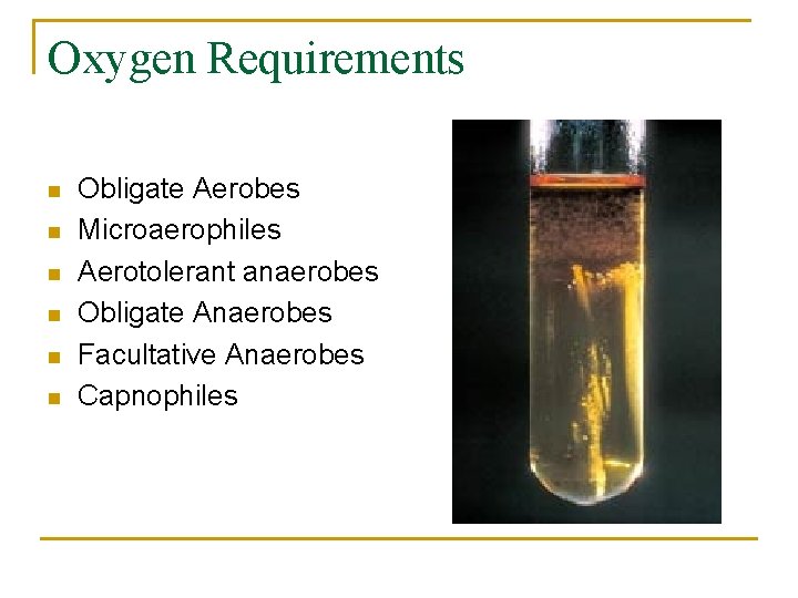 Bacterial Requirements Temperature and Oxygen Measurement of Microbial