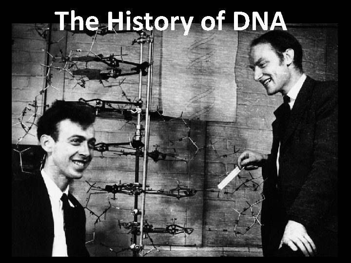 The History of DNA Gregor Mendel 1865 2142022