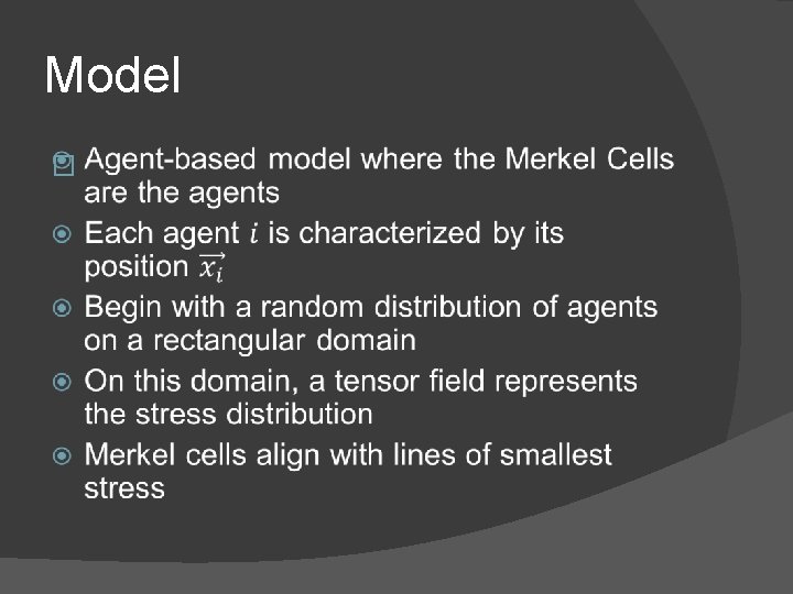 AGENTBASED MODEL FOR FRICTION RIDGE PATTERNS Merkel cells