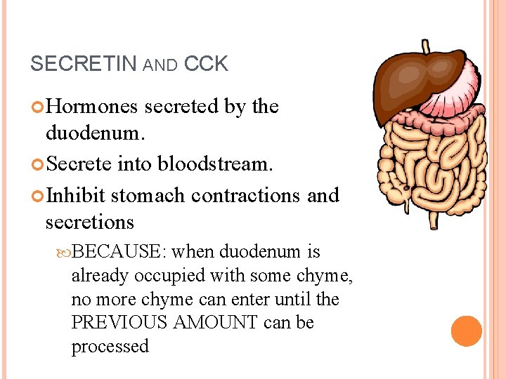 LARGE INTESTINE AND DIGESTION REGULATION Chapter 8 Section