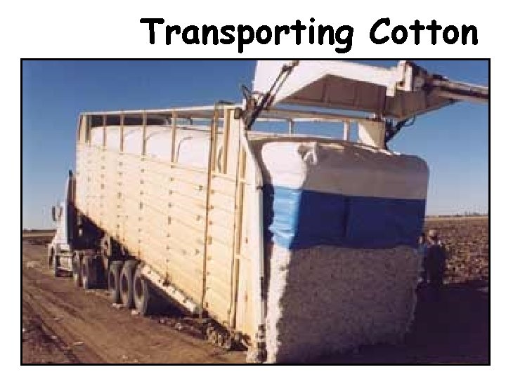 The story of Cleo Cotton begins in Southwest