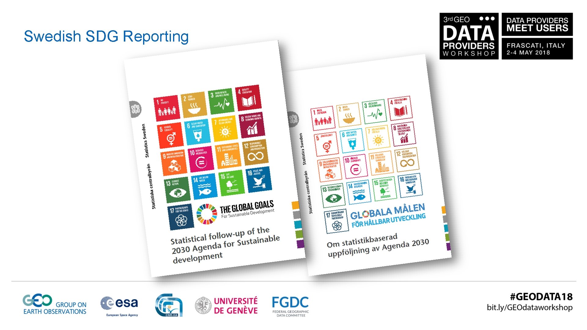 Using Earth Observations for Statistical SDGs Indicators Challenges