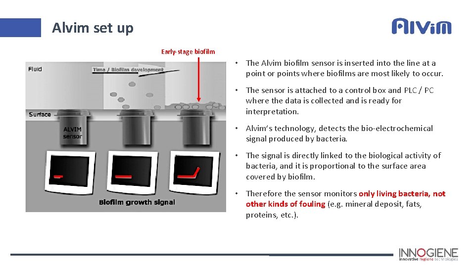 Biofilm detection in CIP systems in realtime 1