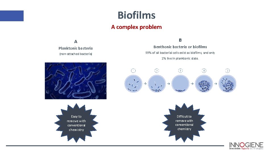 Biofilm detection in CIP systems in realtime 1