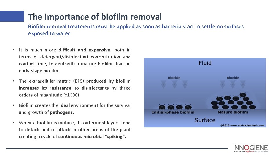 Biofilm detection in CIP systems in realtime 1