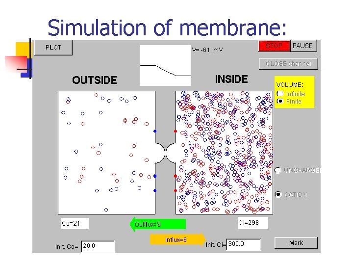 Ion Channels are responsible for the membrane potential