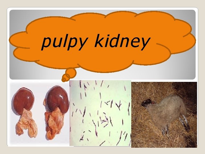 Prepared by Kamal Hosny 11367 Maged Osama 11377