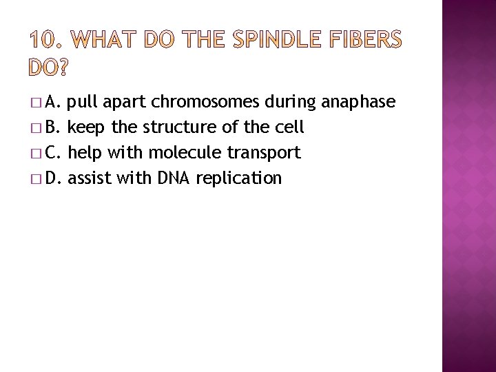 Cells Alivehttp cellsalive commeiosis htm Meiosis animation http