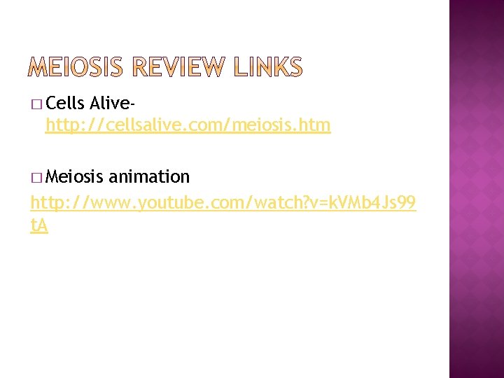 Cells Alivehttp cellsalive commeiosis htm Meiosis animation http