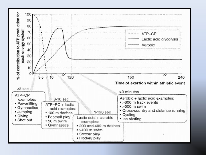 1 Athlete Needs Analysis William J Kraemer Ph