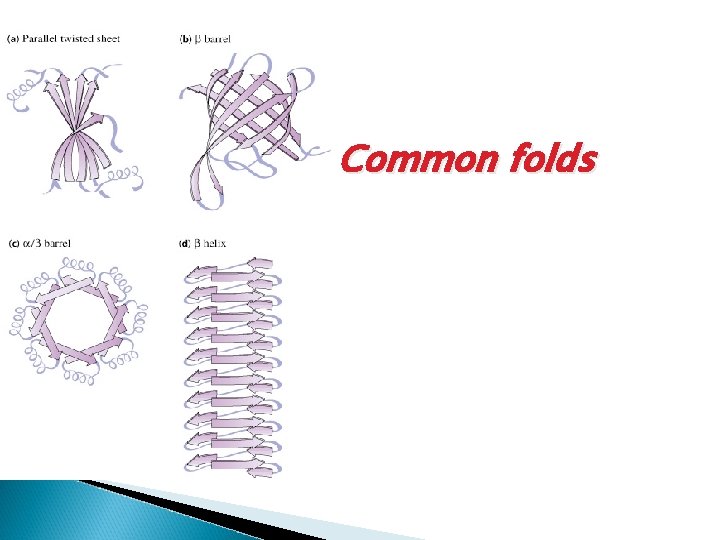 STRUCTURAL ORGANIZATION Protein Structure Built from 20 kinds