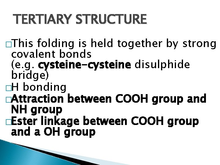 STRUCTURAL ORGANIZATION Protein Structure Built from 20 kinds