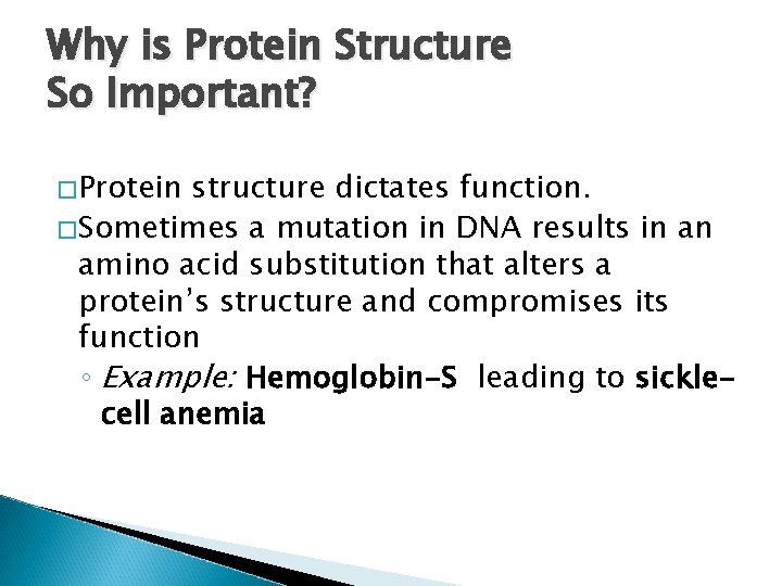 STRUCTURAL ORGANIZATION Protein Structure Built from 20 kinds