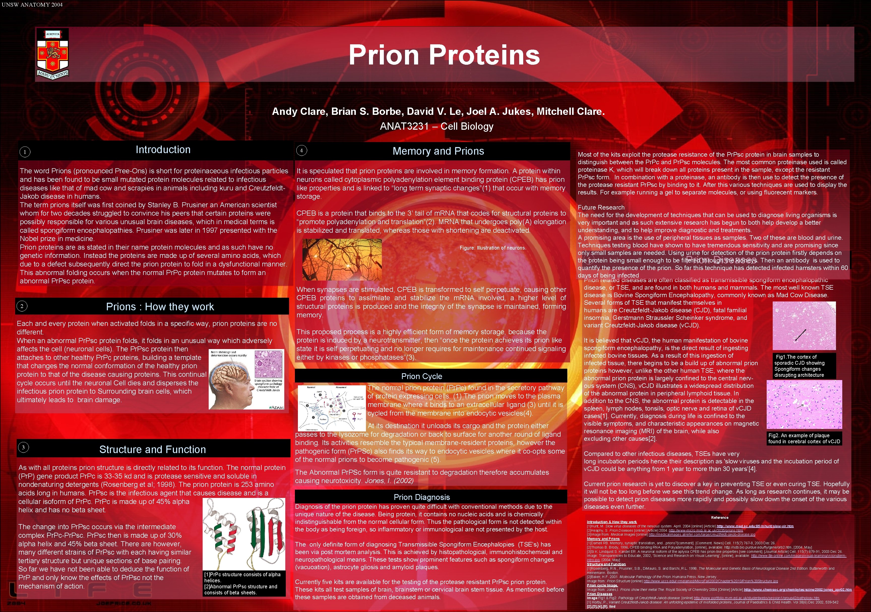 UNSW ANATOMY 2004 Prion Proteins Andy Clare Brian