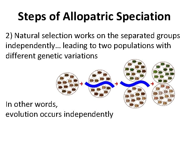 What Not To Do Further Evidence of Evolution