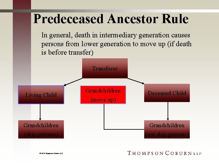 Back to Basics The Role of Generation Skipping