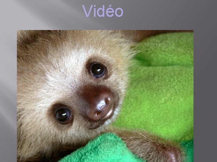 LE PARESSEUX Sommaire 1 2 3 4 5