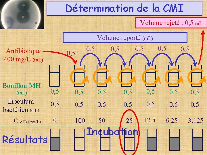 Antibiogramme par diffusion en milieu glos mthode des