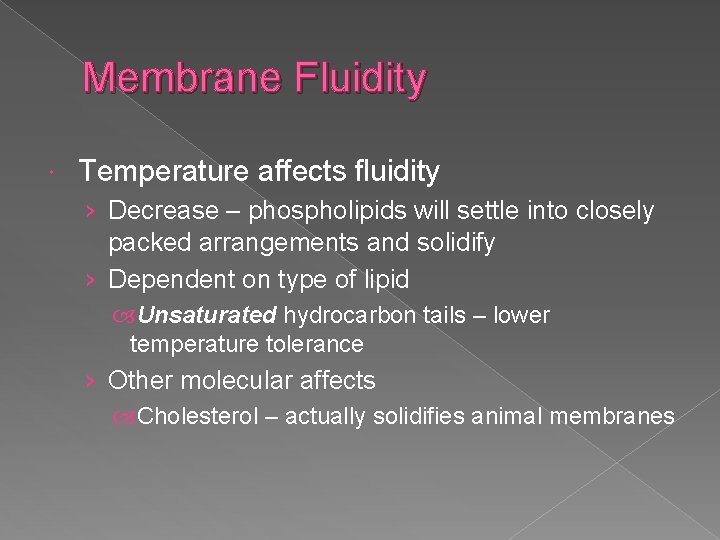 Cell Membrane Structure and Function Chapter 7 Cell