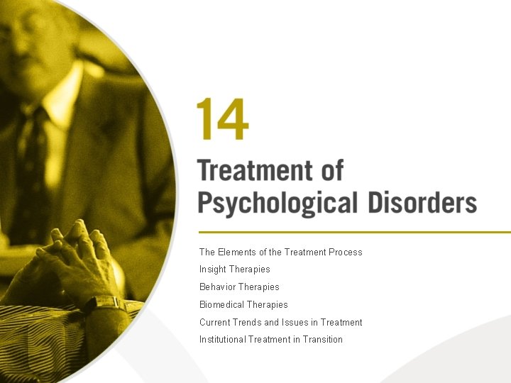 The Elements of the Treatment Process Insight Therapies