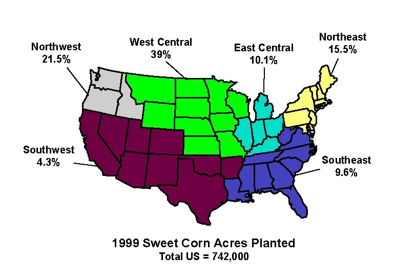 Role of Bt Transgenic Hybrids in Sweet Corn
