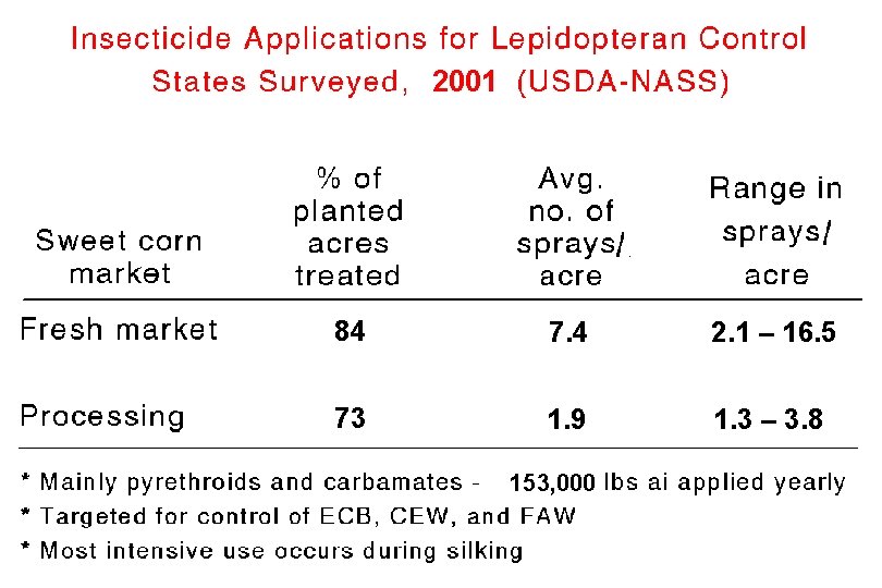 Role of Bt Transgenic Hybrids in Sweet Corn