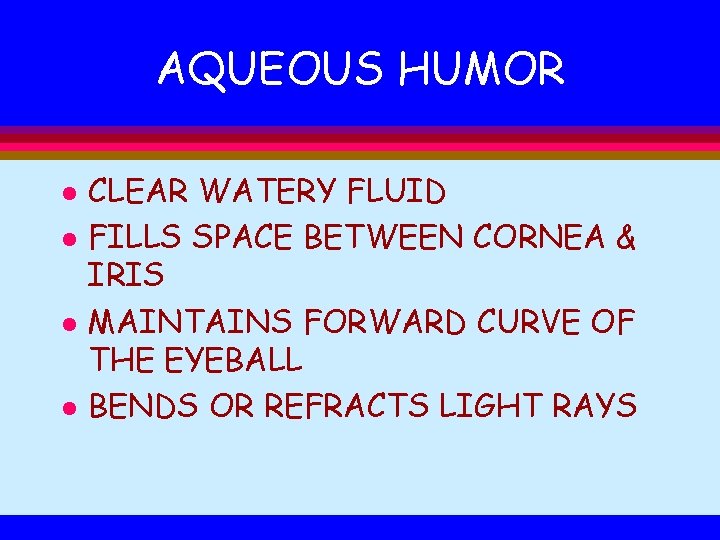 SPECIAL SENSES ALLOW HUMAN BODY TO REACT TO