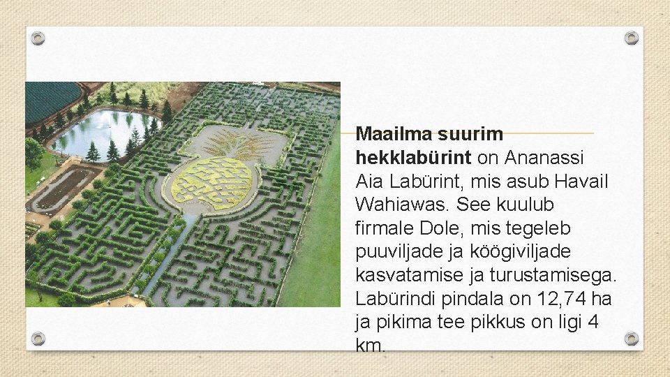 Labrint KUNSTIPETUS Koostas Tiia Pllo Allikad https et