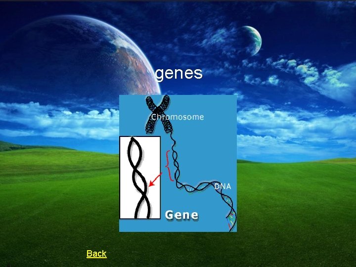 Science Basics Physical Science Earth Science Space Science