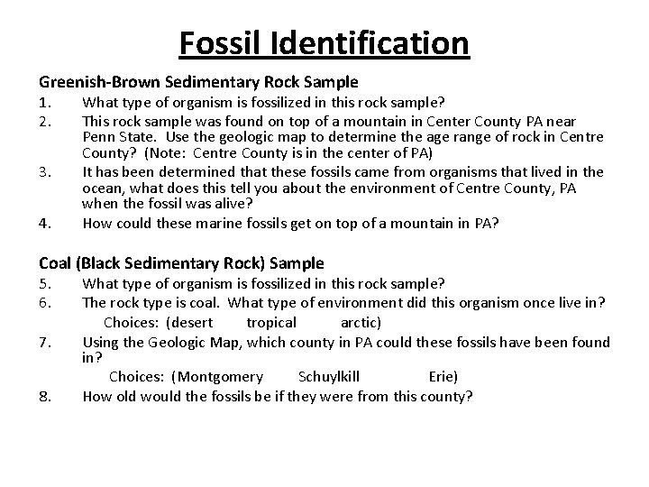 Fossil Identification GreenishBrown Sedimentary Rock Sample 1 2
