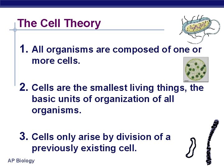 The Cell Theory 1 All organisms are composed