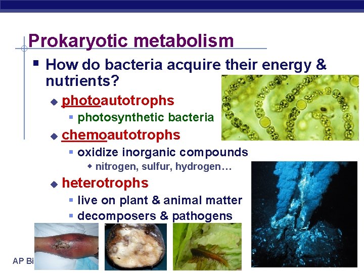 The Cell Theory 1 All organisms are composed