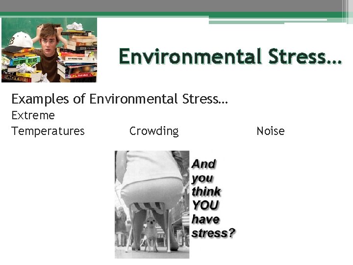 Stress Busters Tips and Strategies for Teens Krista