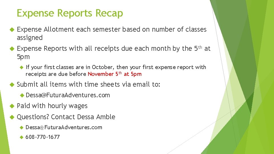 Expenses Training Enrichment Classes Expense Reports Excel document