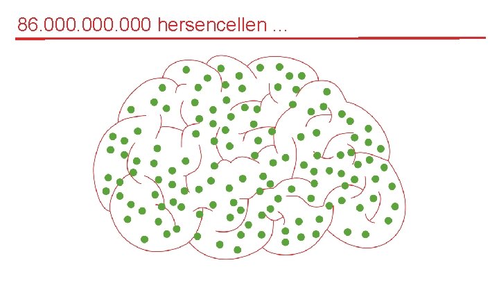 Hersenen 86 000 hersencellen met elkaar verbonden in