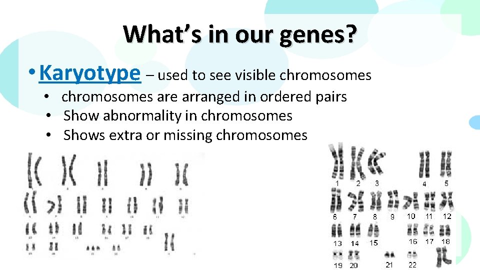 BIOTECHNOLOGY pg 61 62 EQ How is society