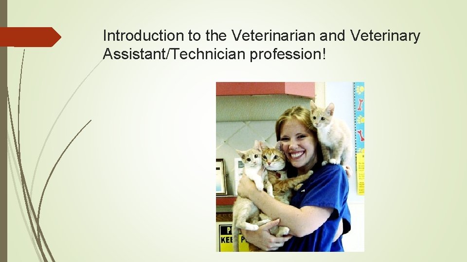 Introduction to the Veterinarian and Veterinary AssistantTechnician ...
