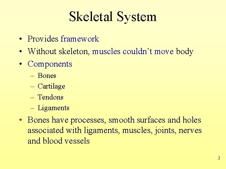 Chapter 7 Skeletal System Gross Anatomy 1 Skeletal