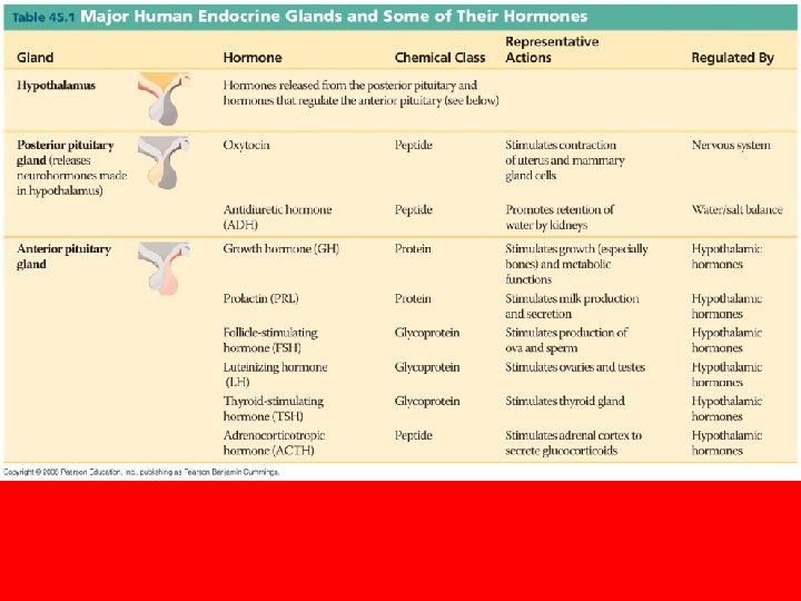 Endocrine System Communication through hormones Hormone Hormone a