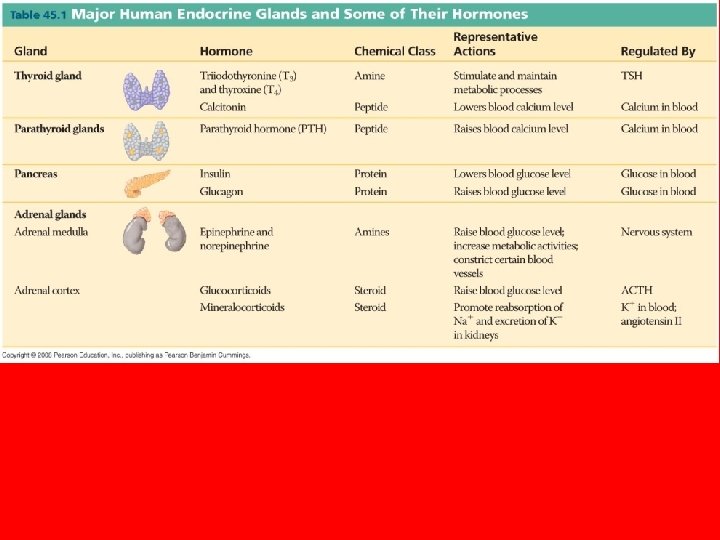 Endocrine System Communication through hormones Hormone Hormone a