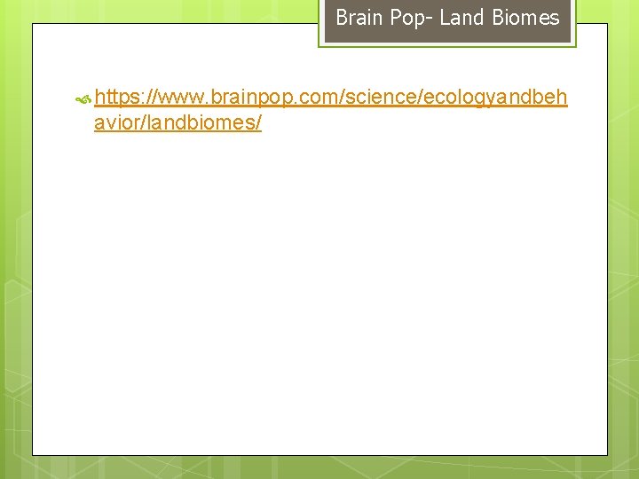 Copy Bold Mind Stretcher 10917 1 Organisms break