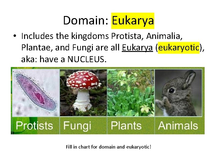 Classification of Living Things Taxonomy There are now