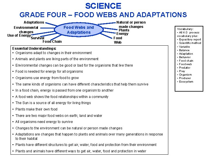 SCIENCE GRADE FOUR FOOD WEBS AND ADAPTATIONS Adaptations