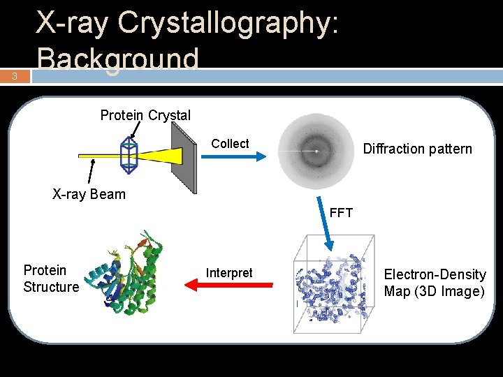 Guiding Belief Propagation using Domain Knowledge for ProteinStructure